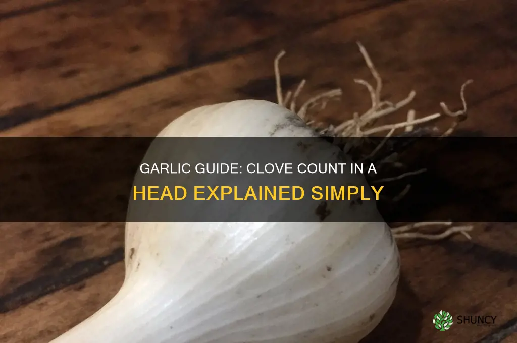 Garlic Guide: Clove Count In A Head Explained Simply | ShunCy