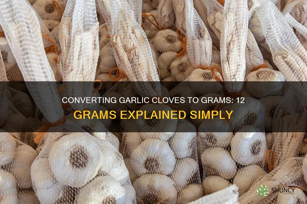Converting Garlic Cloves To Grams: 12 Grams Explained Simply | ShunCy