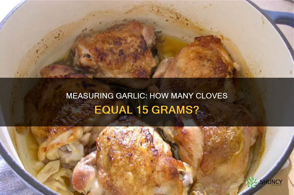 Measuring Garlic: How Many Cloves Equal 15 Grams? | ShunCy