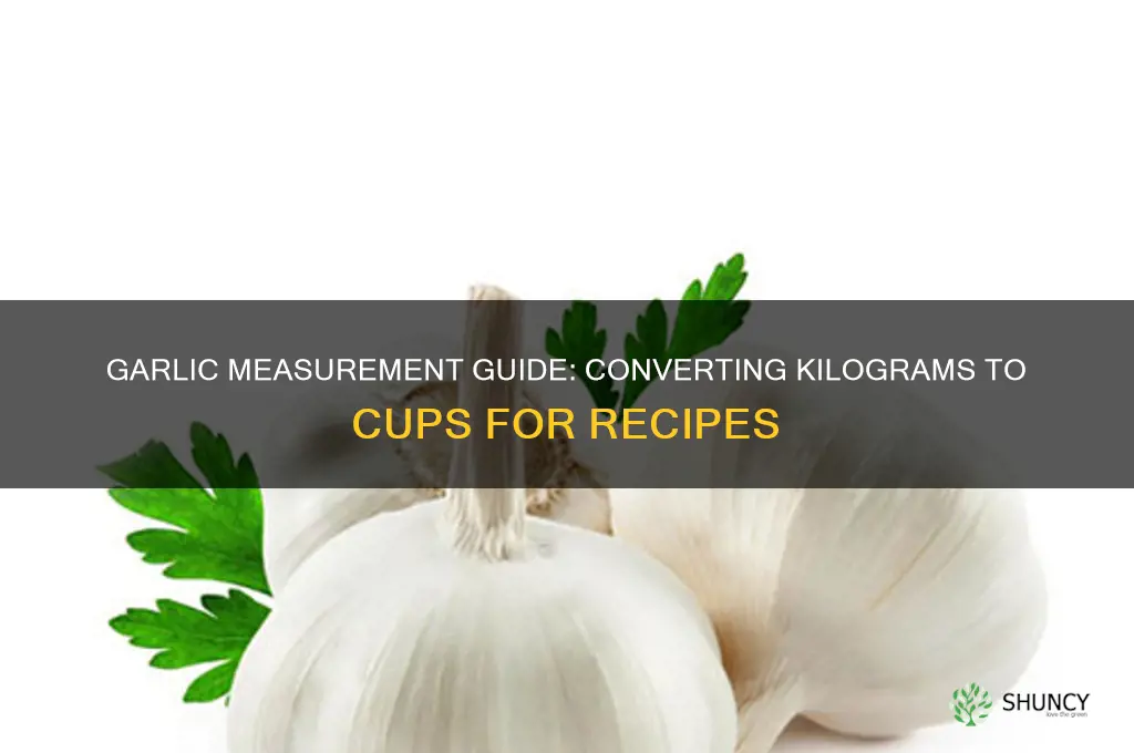 Garlic Measurement Guide: Converting Kilograms To Cups For Recipes | ShunCy