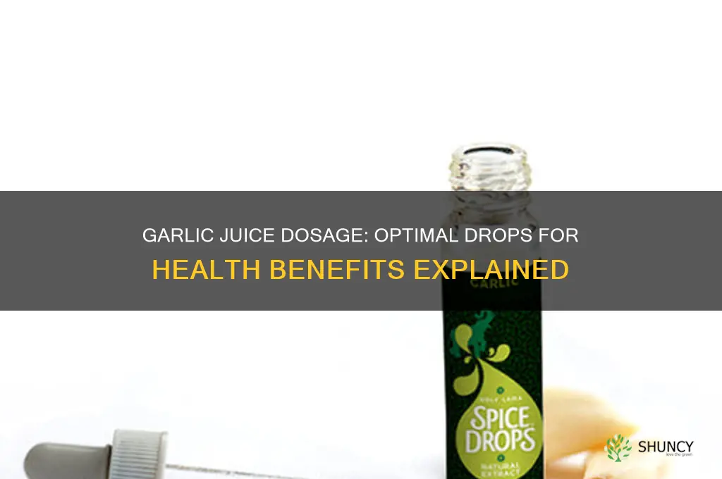 Garlic Juice Dosage: Optimal Drops For Health Benefits Explained | ShunCy