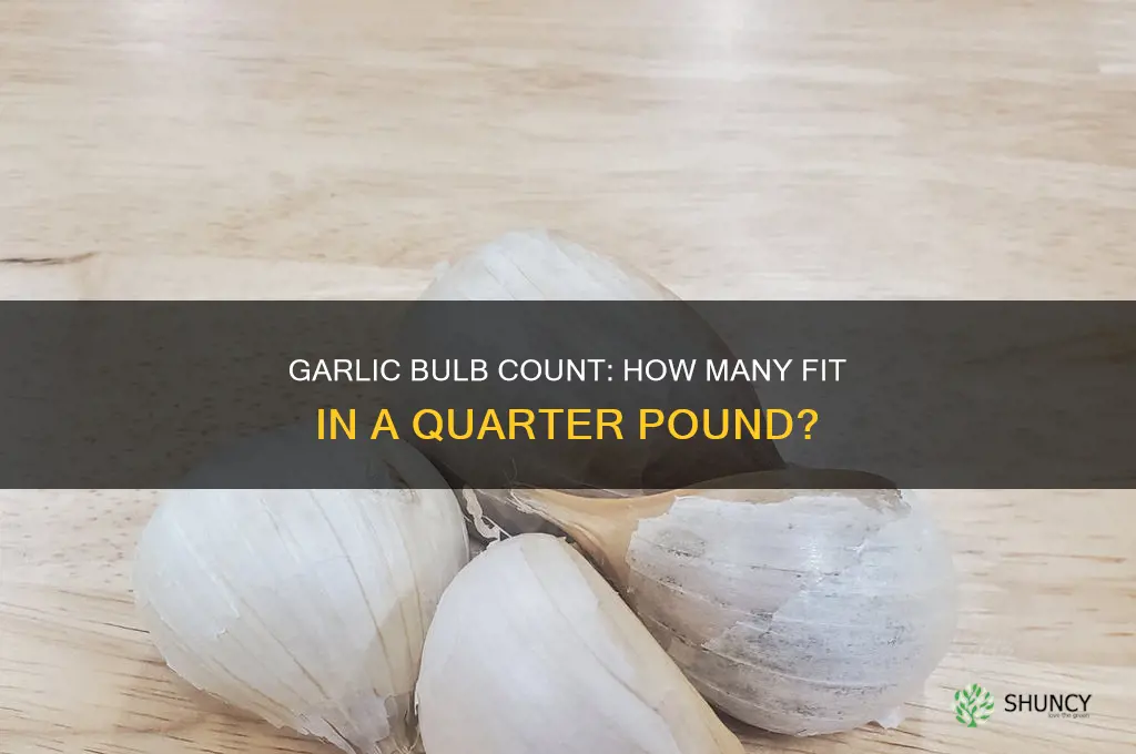Garlic Bulb Count: How Many Fit In A Quarter Pound? | ShunCy