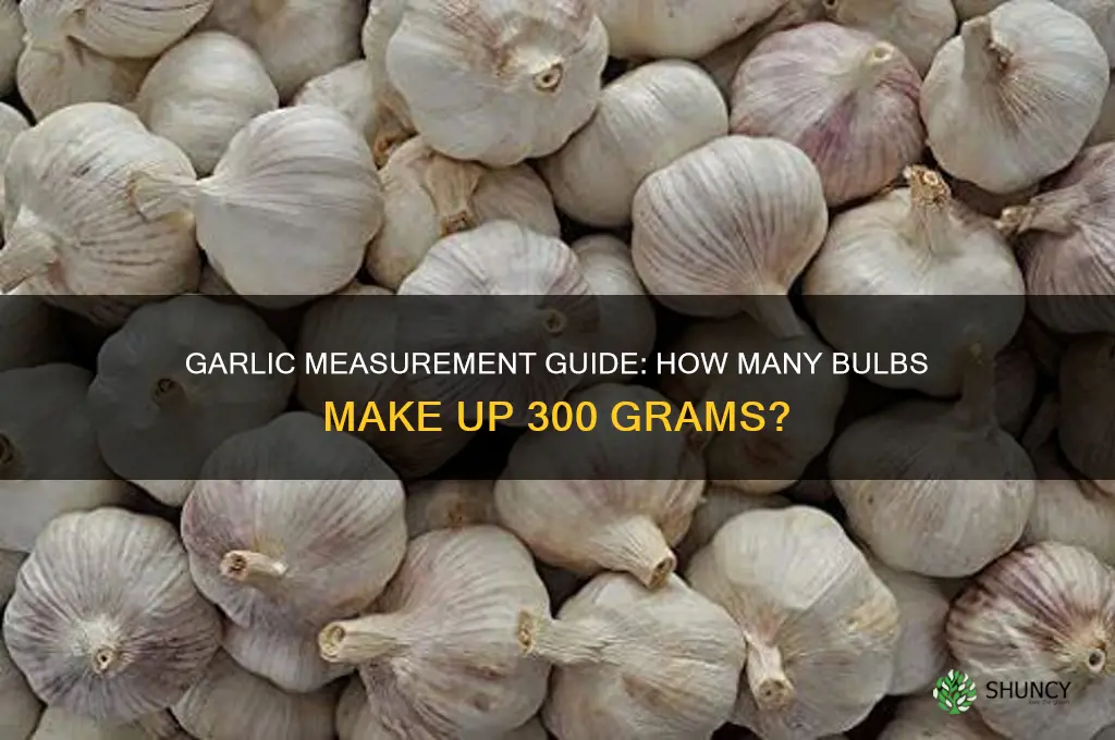 Garlic Measurement Guide: How Many Bulbs Make Up 300 Grams? | ShunCy