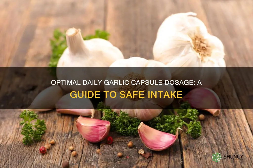 Optimal Daily Garlic Capsule Dosage: A Guide To Safe Intake | ShunCy