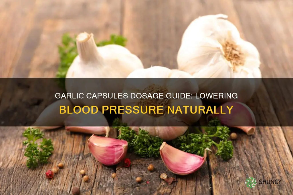 Garlic Capsules Dosage Guide: Lowering Blood Pressure Naturally | ShunCy