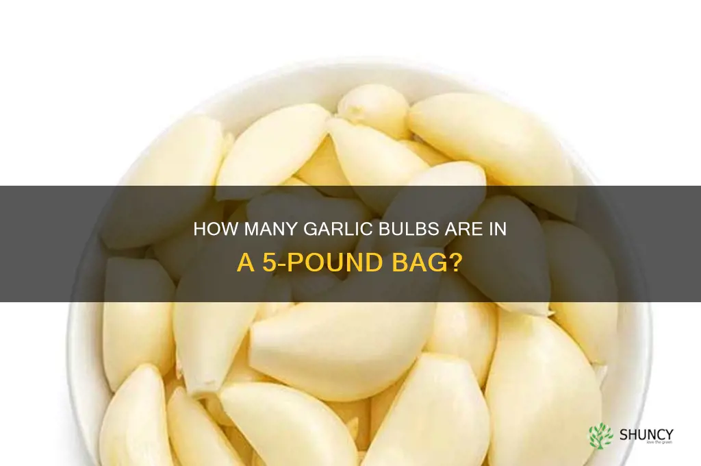 How Many Garlic Bulbs Are In A 5-Pound Bag? | ShunCy