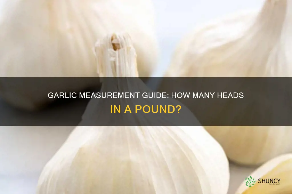 Garlic Measurement Guide: How Many Heads In A Pound? | ShunCy