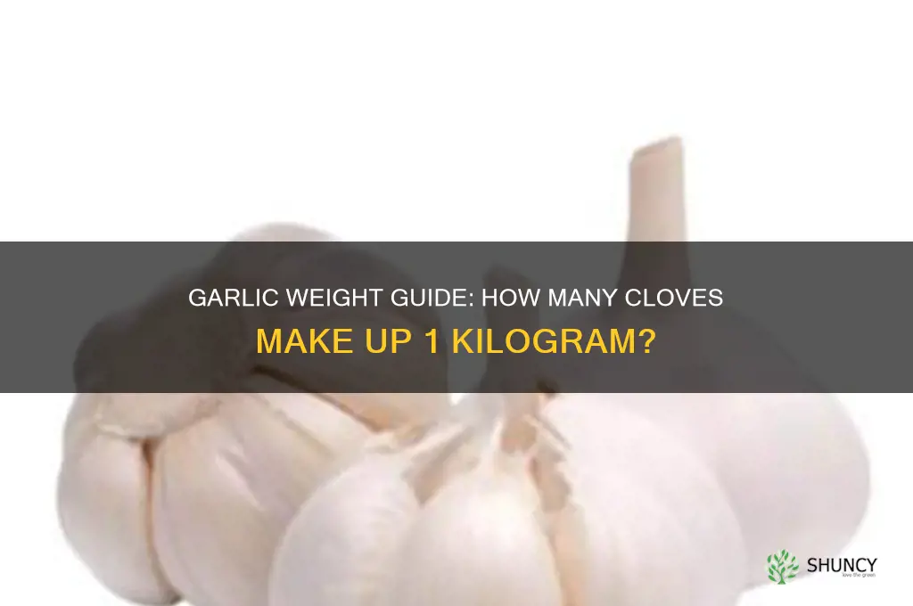Garlic Weight Guide: How Many Cloves Make Up 1 Kilogram? | ShunCy
