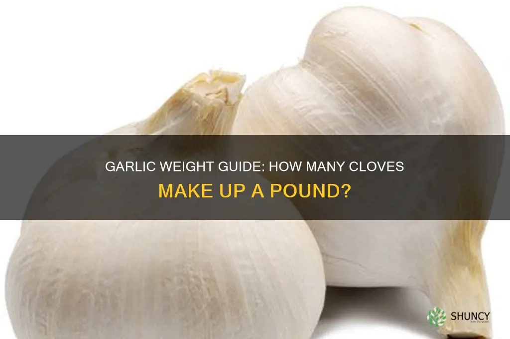 Garlic Weight Guide: How Many Cloves Make Up A Pound? | ShunCy