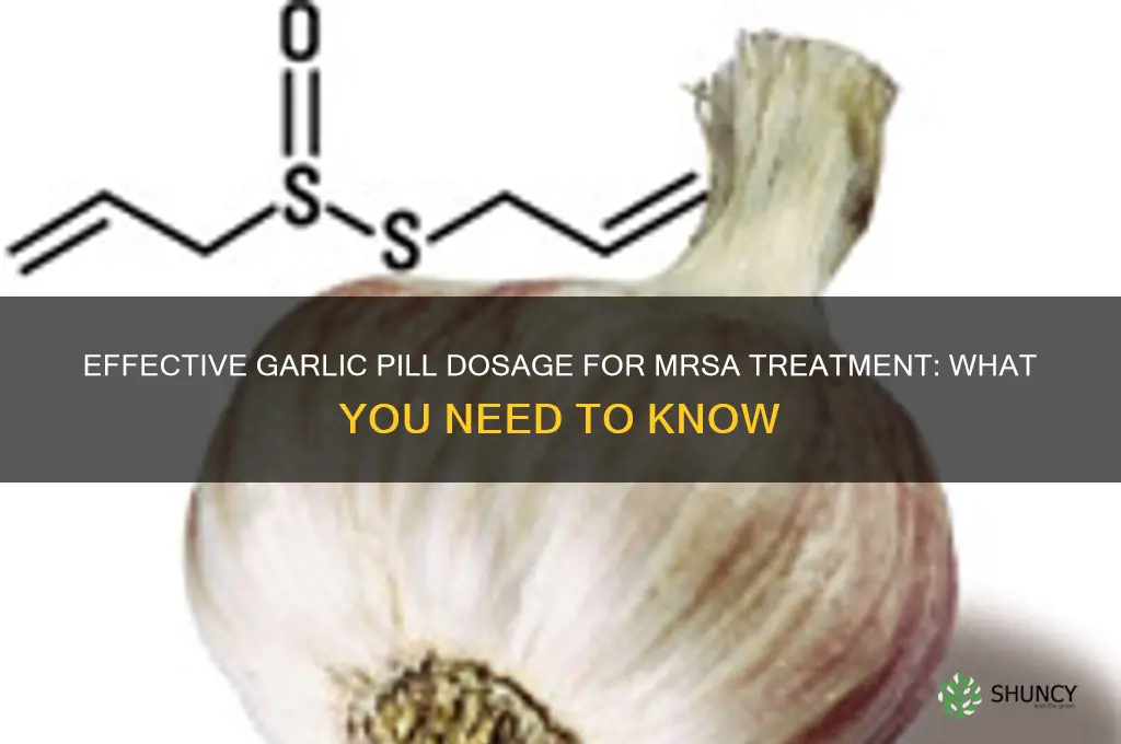 Effective Garlic Pill Dosage For Mrsa Treatment: What You Need To Know ...
