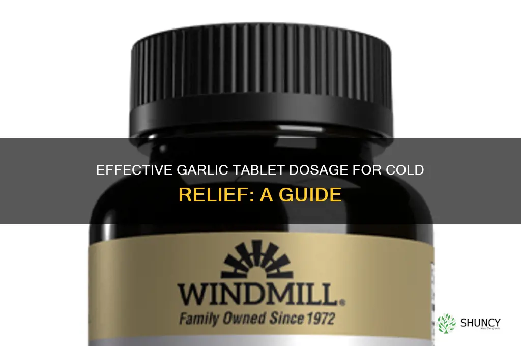 Effective Garlic Tablet Dosage For Cold Relief: A Guide | ShunCy