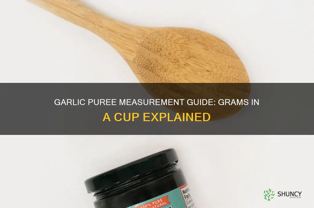 Garlic Puree Measurement Guide: Grams In A Cup Explained | ShunCy