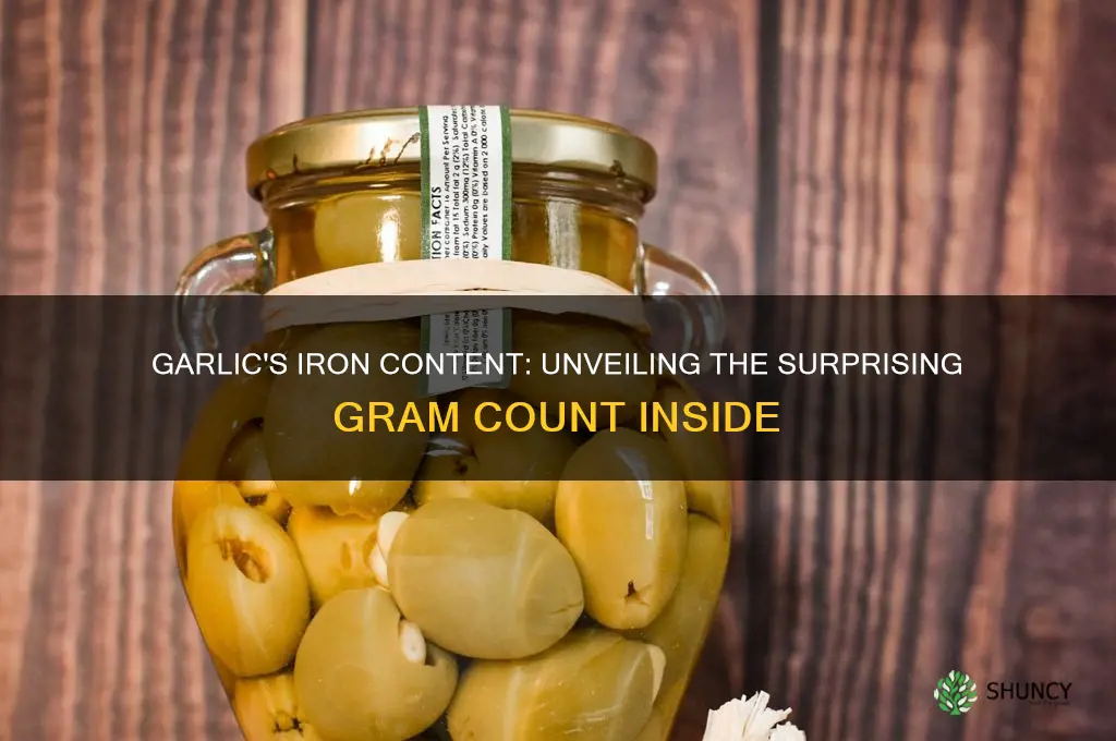 Garlic's Iron Content: Unveiling The Surprising Gram Count Inside | ShunCy