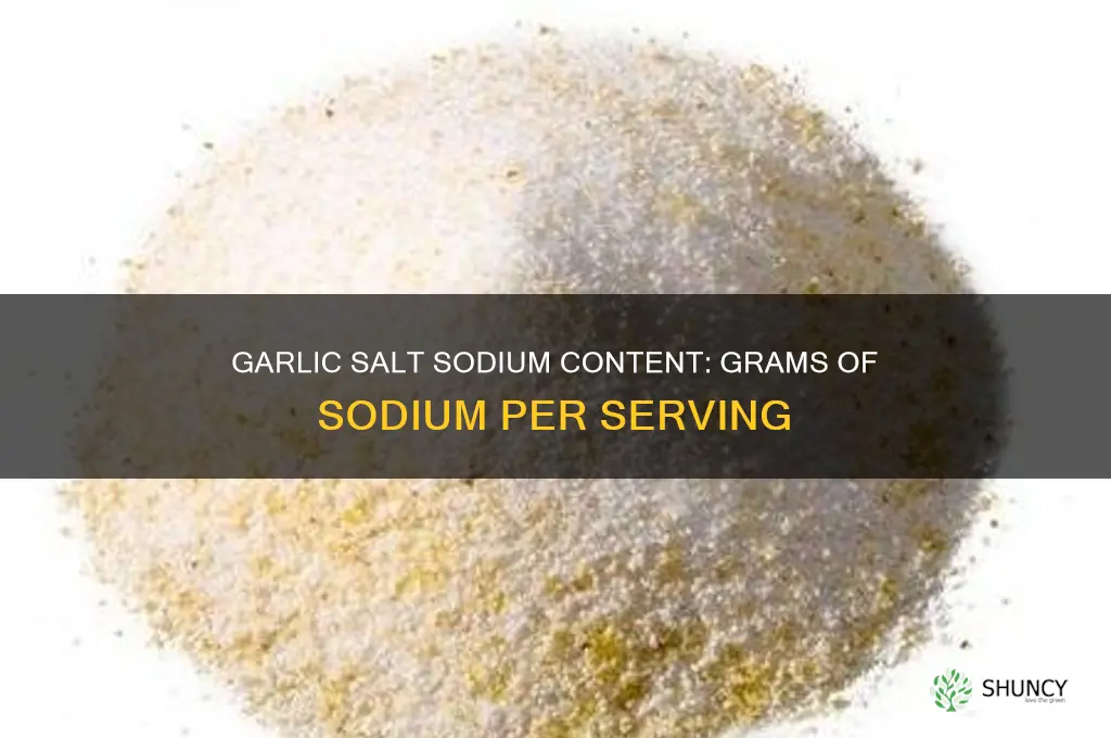 Garlic Salt Sodium Content: Grams Of Sodium Per Serving | ShunCy