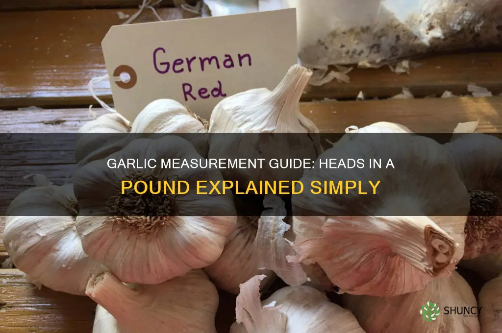 Garlic Measurement Guide: Heads In A Pound Explained Simply | ShunCy