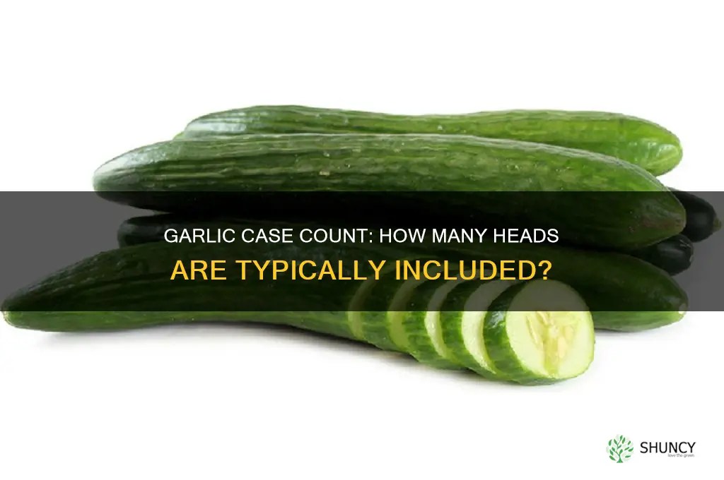 Garlic Case Count: How Many Heads Are Typically Included? | ShunCy