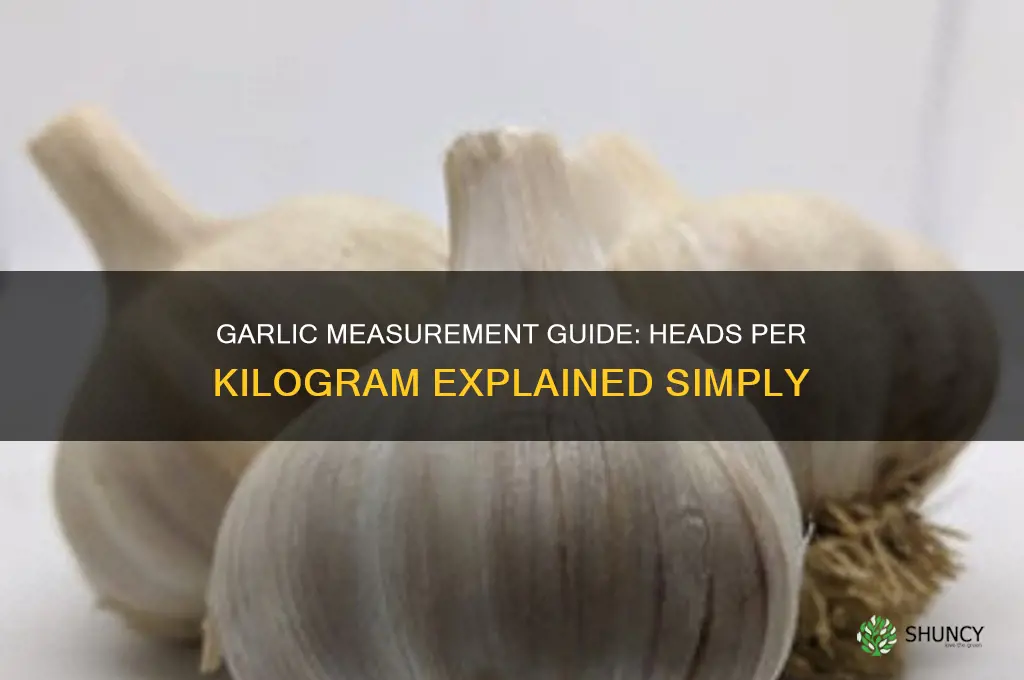 Garlic Measurement Guide: Heads Per Kilogram Explained Simply | ShunCy