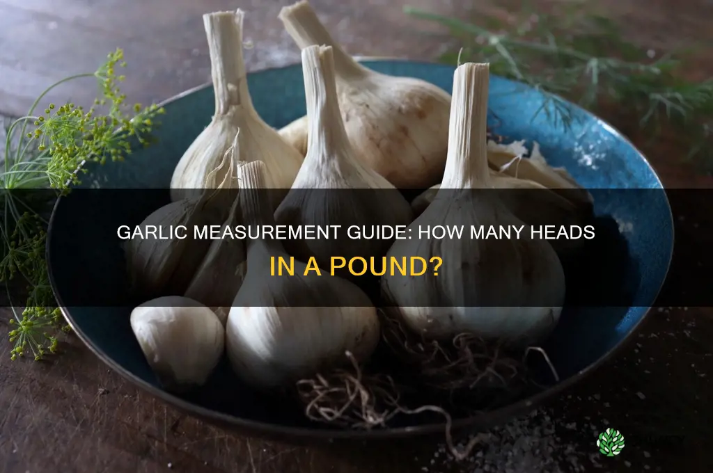 Garlic Measurement Guide: How Many Heads In A Pound? | ShunCy