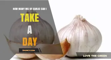 Safe Garlic Supplement Dosage: How Much Should You Take Daily? | ShunCy