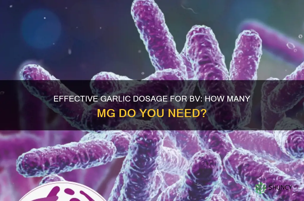 Effective Garlic Dosage For Bv: How Many Mg Do You Need? | ShunCy