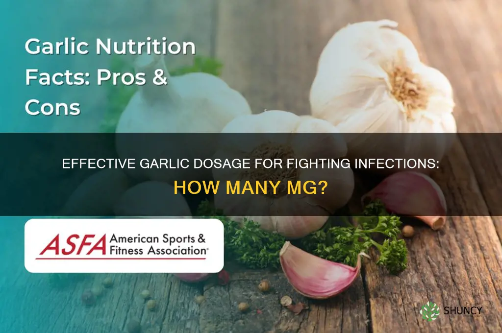 Effective Garlic Dosage For Fighting Infections: How Many Mg? | ShunCy