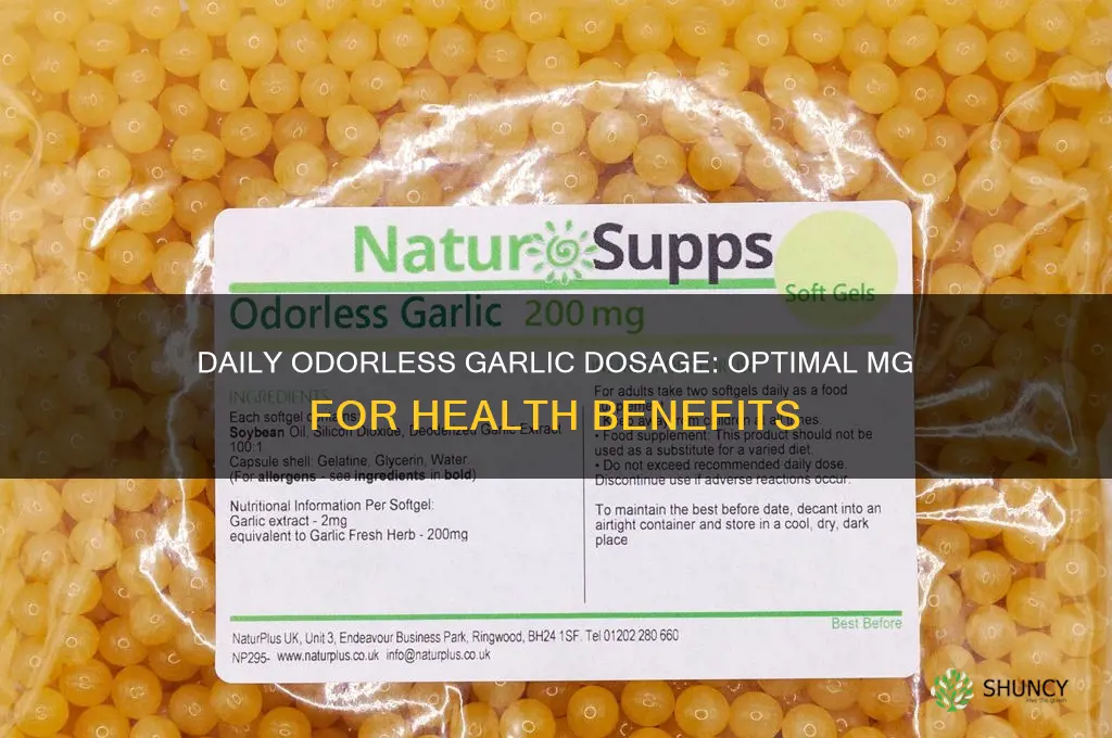 Daily Odorless Garlic Dosage: Optimal Mg For Health Benefits | ShunCy