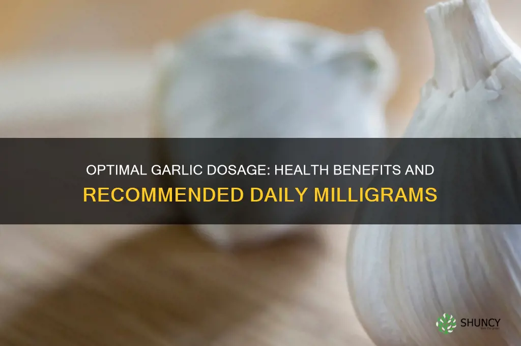 Optimal Garlic Dosage: Health Benefits And Recommended Daily Milligrams ...