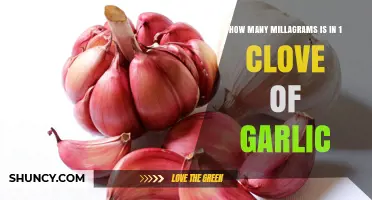 Planting Red Russian Garlic: A Step-By-Step Guide | ShunCy