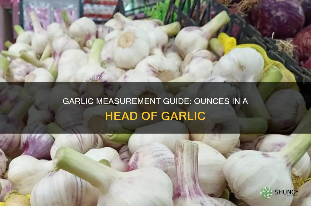 Garlic Measurement Guide: Ounces In A Head Of Garlic | ShunCy