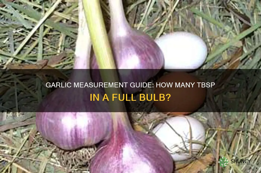 Garlic Measurement Guide: How Many Tbsp In A Full Bulb? | ShunCy