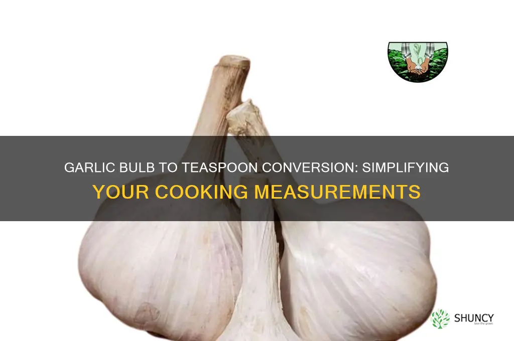 Garlic Bulb To Teaspoon Conversion: Simplifying Your Cooking ...