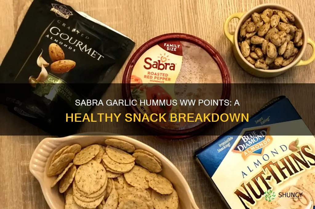 Sabra Garlic Hummus Ww Points: A Healthy Snack Breakdown | ShunCy