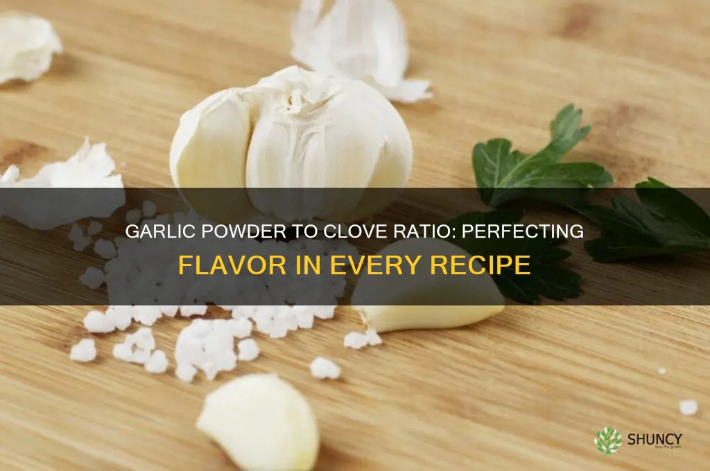 Garlic Powder To Clove Ratio: Perfecting Flavor In Every Recipe | ShunCy