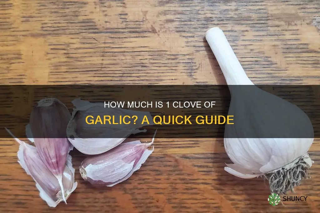 How Much Is 1 Clove Of Garlic? A Quick Guide | ShunCy