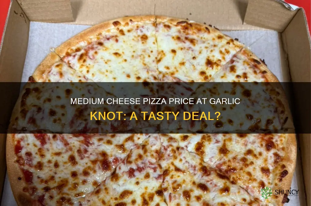 Medium Cheese Pizza Price At Garlic Knot: A Tasty Deal? | ShunCy