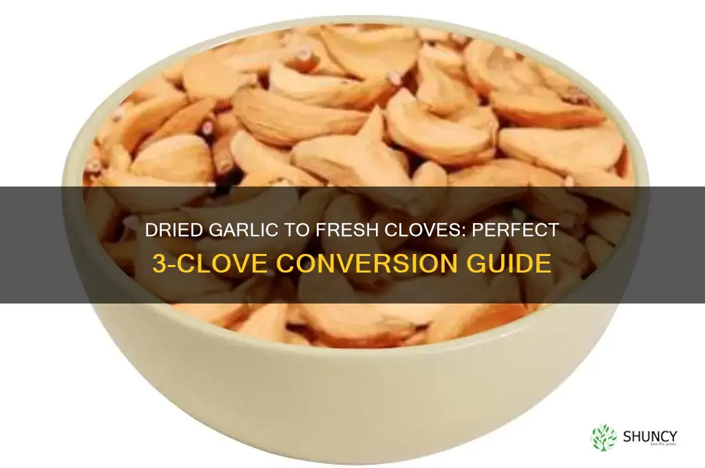 Dried Garlic To Fresh Cloves: Perfect 3-Clove Conversion Guide | ShunCy