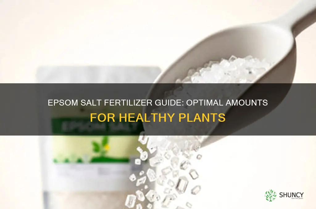 Epsom Salt Fertilizer Guide: Optimal Amounts For Healthy Plants | ShunCy