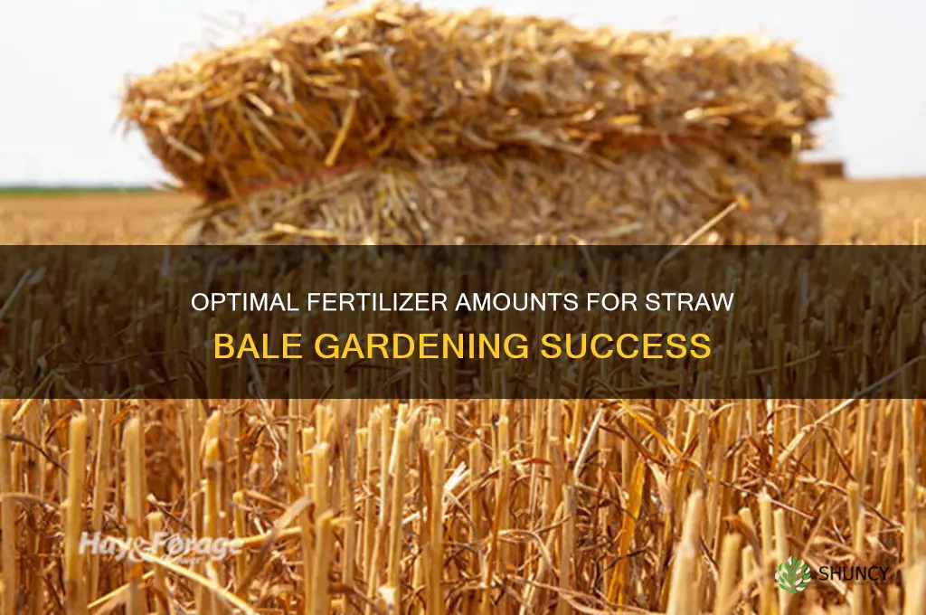 Optimal Fertilizer Amounts For Straw Bale Gardening Success | ShunCy