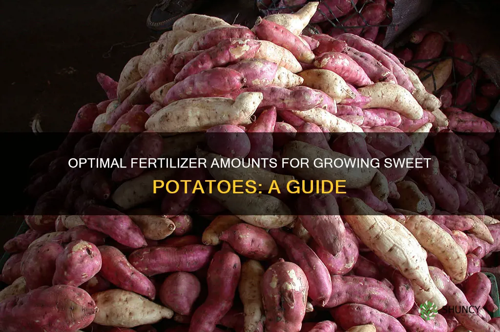 Optimal Fertilizer Amounts For Growing Sweet Potatoes: A Guide | ShunCy