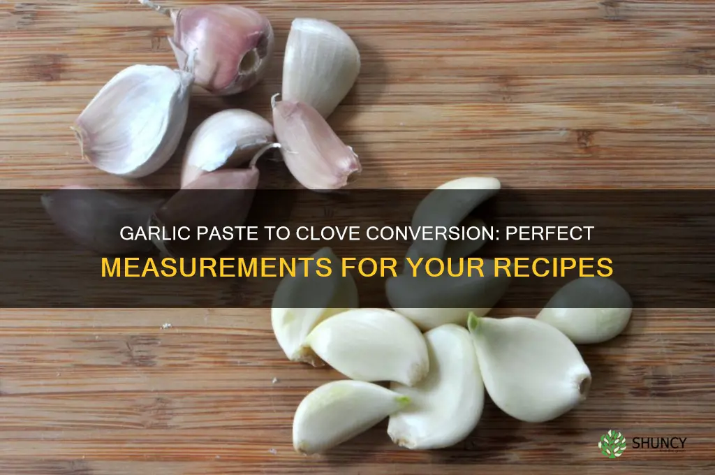 Garlic Paste To Clove Conversion: Perfect Measurements For Your Recipes ...