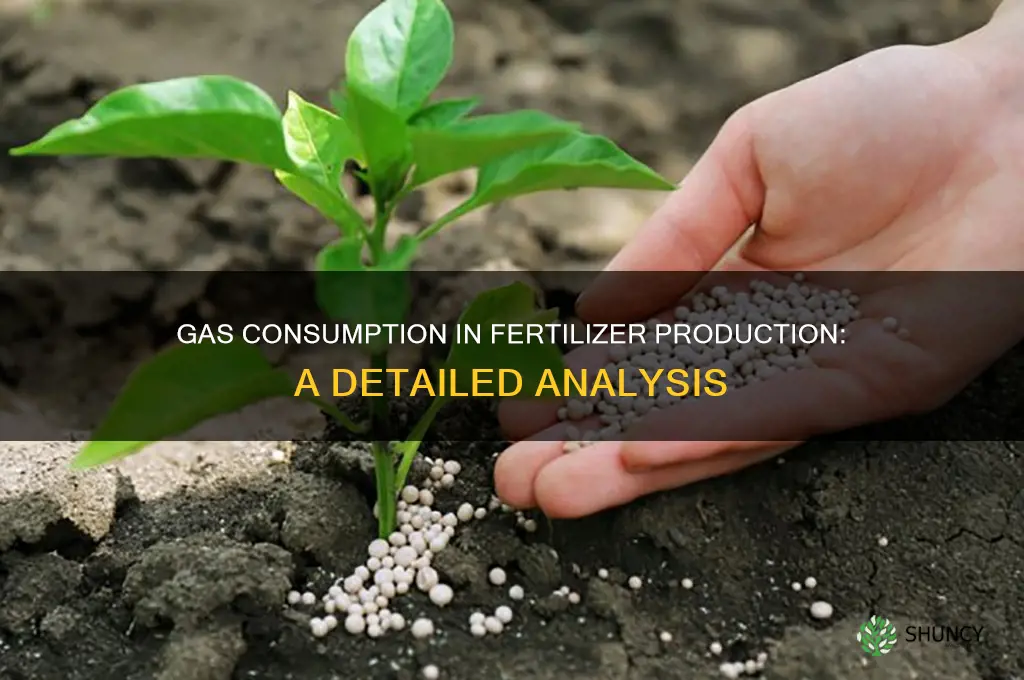 Gas Consumption In Fertilizer Production: A Detailed Analysis | ShunCy
