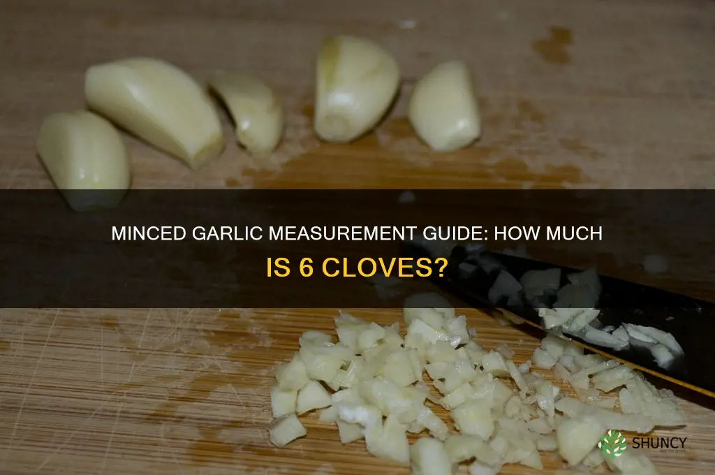 Minced Garlic Measurement Guide: How Much Is 6 Cloves? | ShunCy