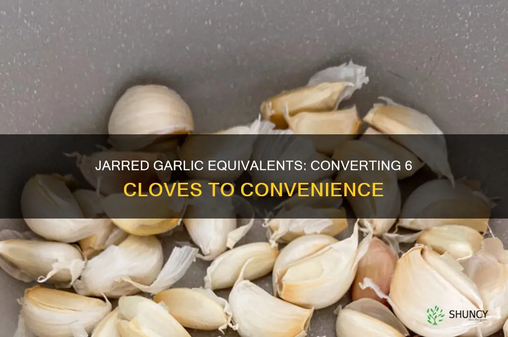 Jarred Garlic Equivalents: Converting 6 Cloves To Convenience | ShunCy