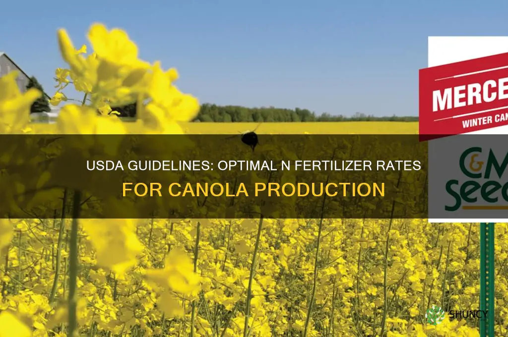 Usda Guidelines: Optimal N Fertilizer Rates For Canola Production | ShunCy