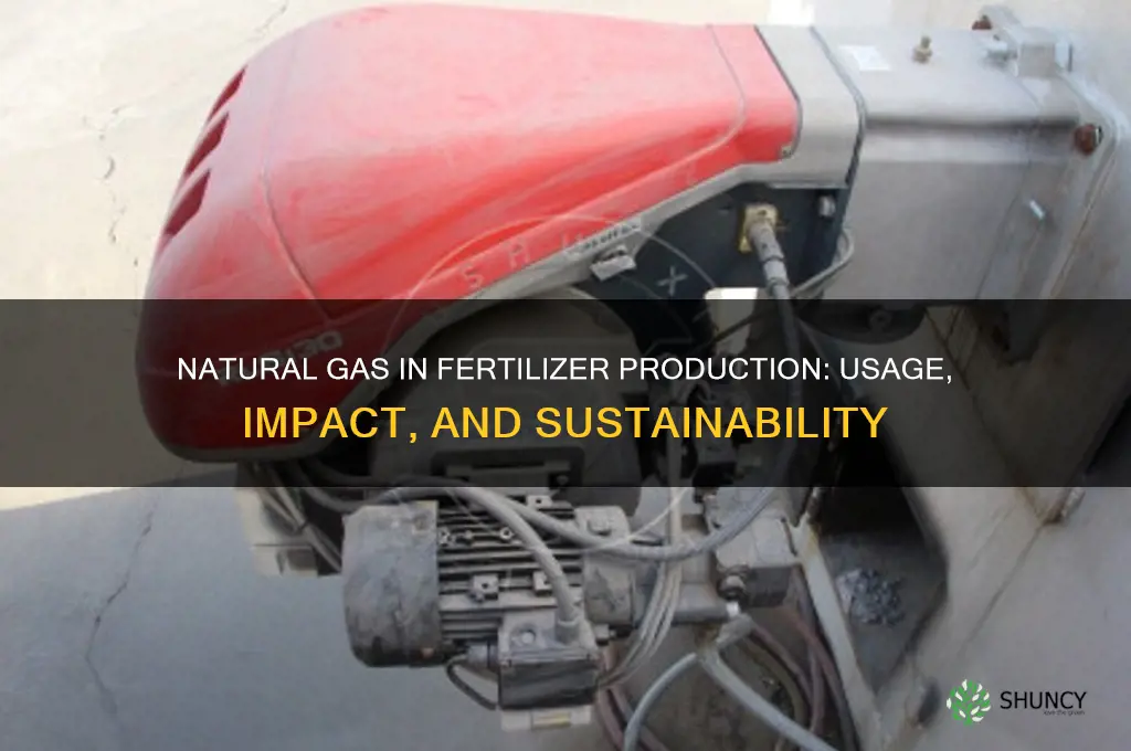 Natural Gas In Fertilizer Production: Usage, Impact, And Sustainability ...
