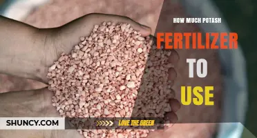 Optimal Urea Fertilizer Application Guide For A Healthy Green Lawn | ShunCy