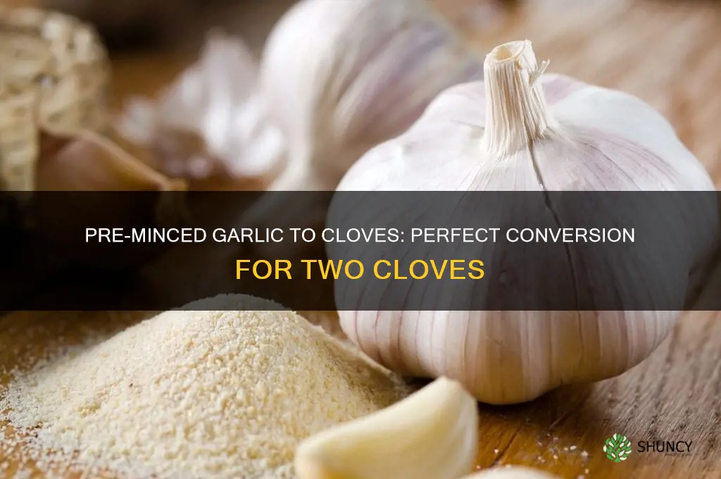 Pre-Minced Garlic To Cloves: Perfect Conversion For Two Cloves | ShunCy