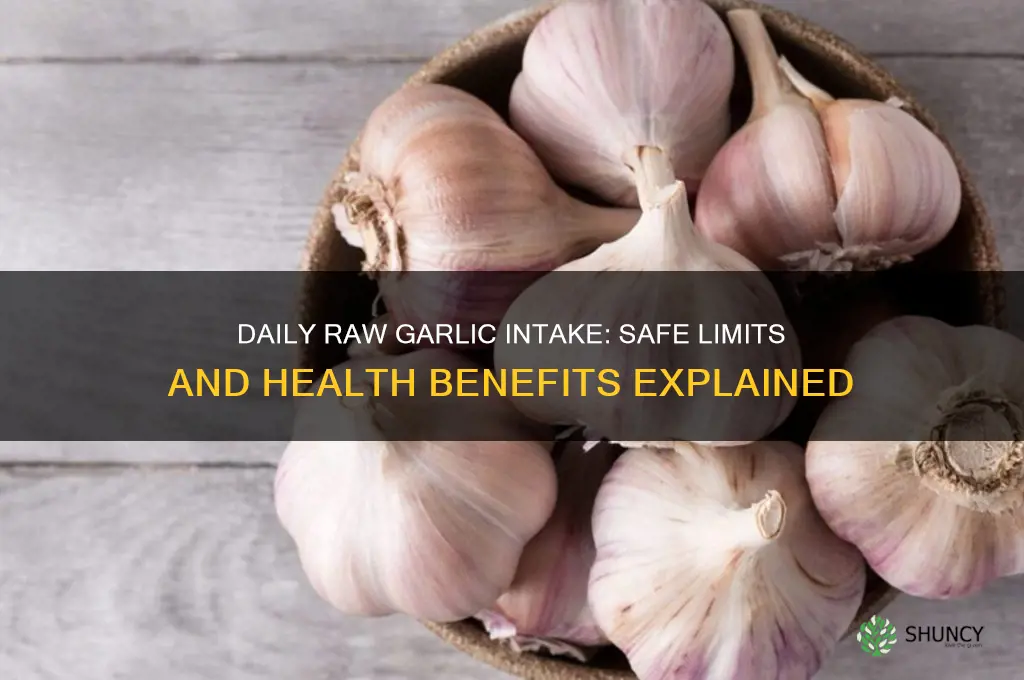 Daily Raw Garlic Intake: Safe Limits And Health Benefits Explained | ShunCy