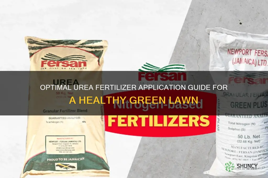Optimal Urea Fertilizer Application Guide For A Healthy Green Lawn | ShunCy