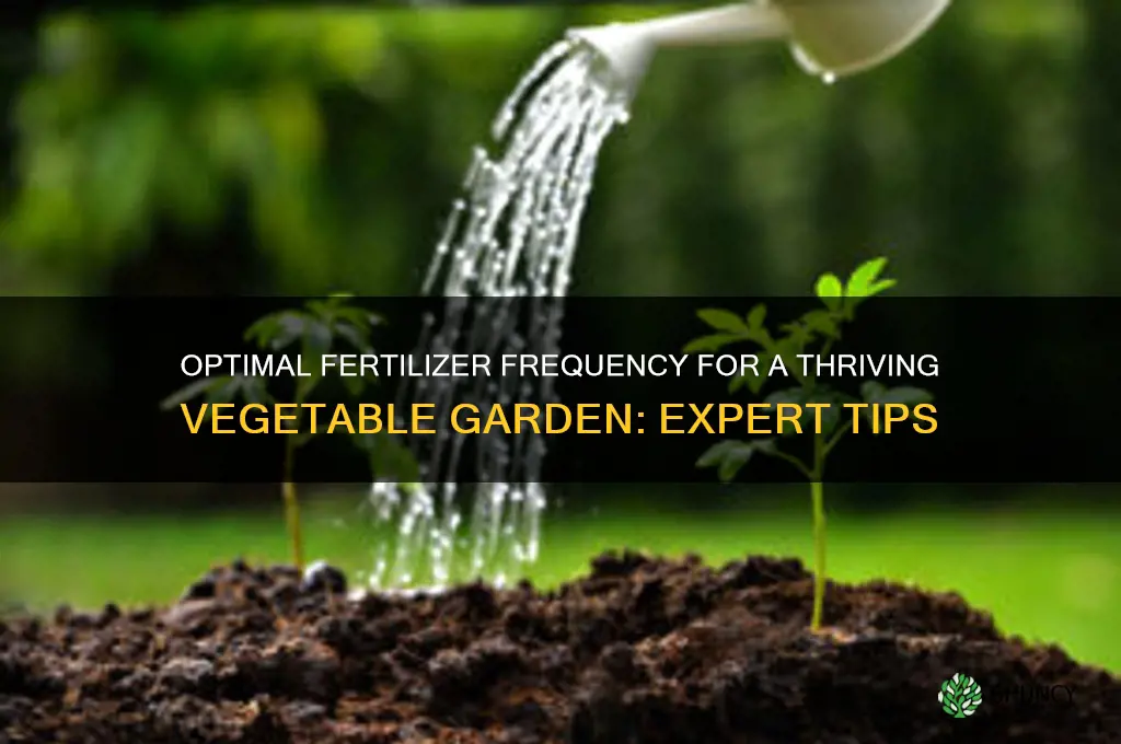Optimal Fertilizer Frequency For A Thriving Vegetable Garden: Expert ...